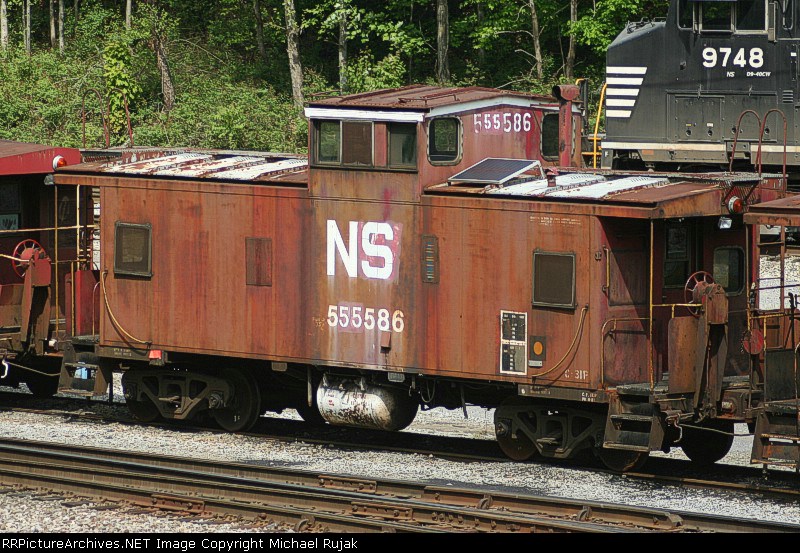 NS 555586